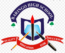 Job - Music BOM Teacher job at Baringo high school
